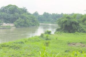 10 Major Rivers in Nigeria (Fact with Pictures)